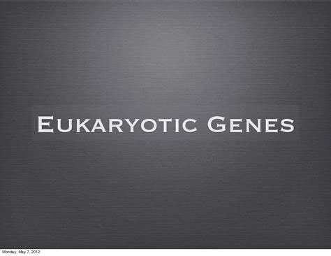 Eukaryotic Genes Genes And Society Lecture Slides Docsity