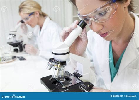 Female Scientific Using Microscopes In Laboratory Stock Image Image Of Equipment Babes