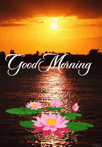 Good Morning  Good Morning Flowers  Good Morning Beautiful 