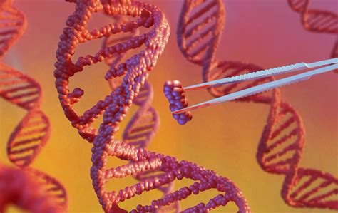 Crispr Cas9 Alternatives Cutting Through The Boundaries Of Gene Editing