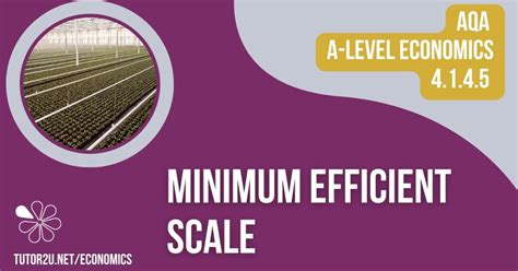 4 1 4 5 Minimum Efficient Scale Aqa A Level Economics Teaching