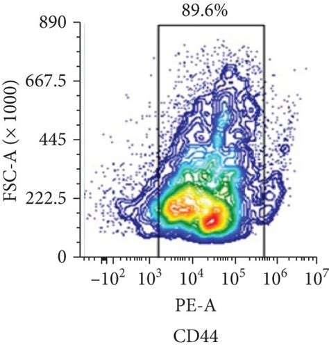 Characterization Of Mscs Flow Cytometry Analysis Of Common Msc Markers