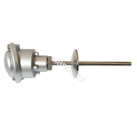 Hot Sale Needle Temperature Sensor Double Rtd Pt100 Sensor Double Four