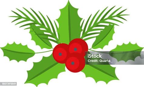 크리스마스 꽃 테두리입니다 가문비나무 상록수 가지 포인세티아 홀리베리 0명에 대한 스톡 벡터 아트 및 기타 이미지 0명 12월 겨우살이과 Istock