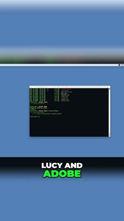 Maximizing Efficiency Switching Between Adobe And Lucy Cf Engines Coldfusion Programming Youtube