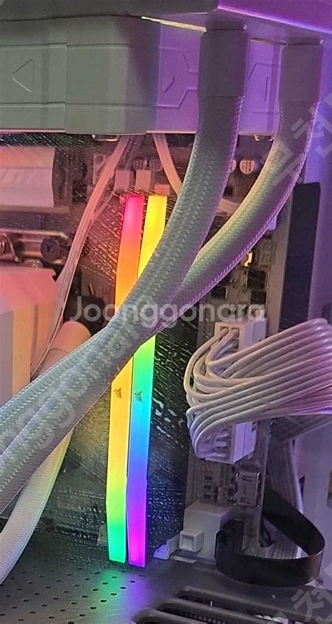 커세어 벤전스 Rgb 32gb Ddr5 6000 Cl3 중고나라 카페에서 운영하는 공식 사이트