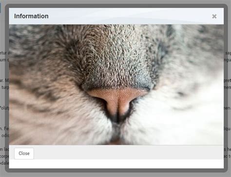 Customizable Static Modal Window Plugin Jquery Veil Free Jquery Plugins