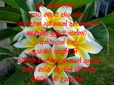 ගුරු දිනය