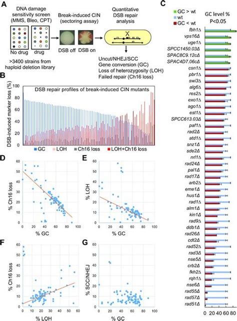 Sanjeevani Arora Phd On Linkedin Homologous Recombination Suppresses Transgenerational Dna