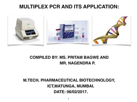 Multiplex Pcr And Its Applications Pdf