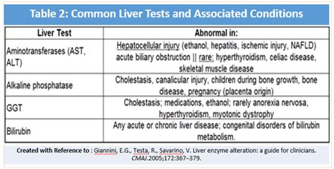Liver Enzymes