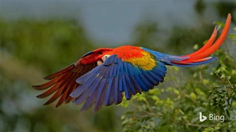 Prefab Bug Video On How To Replicate Or Was I Doing Something Wrong