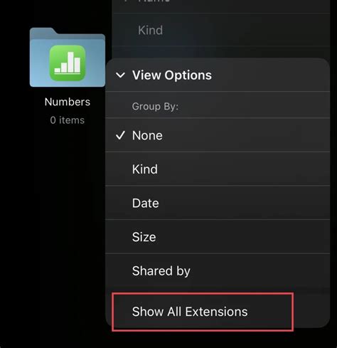 two methods to see file extensions on iphone and ipad ios 16 techschumz