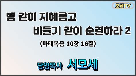 20210327 뱀같이 지혜롭고 비둘기같이 순결하라 2 마 10장 16절 Youtube