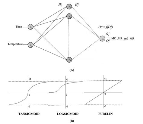 A Generalized Ann Infrastructure Representation For Predictive Download Scientific Diagram