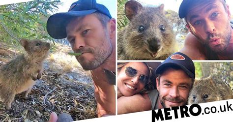 Chris Hemsworth Takes Selfies With Quokka After Endgame Trailer Metro