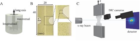 Figure 21 From The Role Of Microstructure For Crack Propagation In Cortical Bone Semantic Scholar