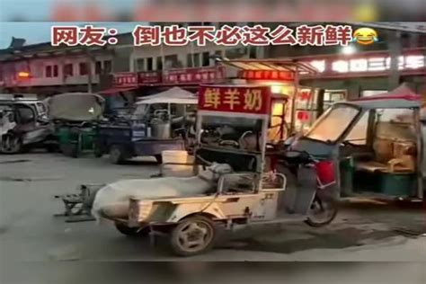 街边小摊卖鲜羊奶惊呆路人，不禁感叹：正宗鲜羊奶，现挤现卖。