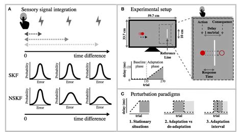 Figure 1 From Decreased Temporal Sensorimotor Adaptation Due To