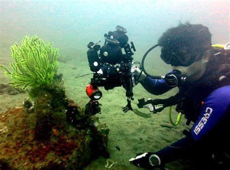 What S A Muck Dive At Robert Nguyen Blog