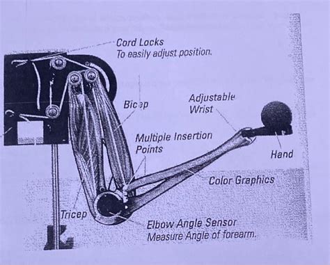 Solved Cord Locks Bic 3p Adjustable Wrist Multiple Insertion Chegg