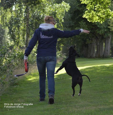 Iris De Jonge Fotografie