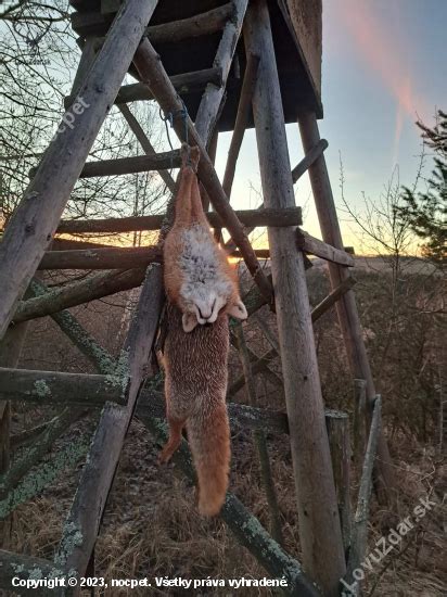 Zrzka Po Ovn Cka Fotografia Fotka Po Ovn Cke Foto Lovuzdar Sk By Doduin