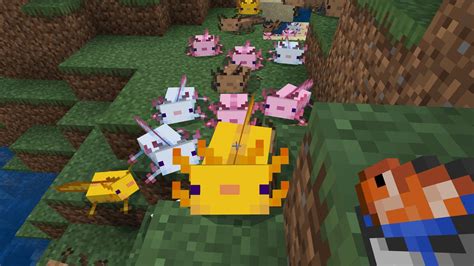 How To Find Tame And Breed Minecraft Axolotls GamesRadar