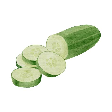 Cucumber Slices Generative Ai 27730680 Png