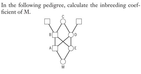 Solved In The Following Pedigree Calculate The Inbreeding