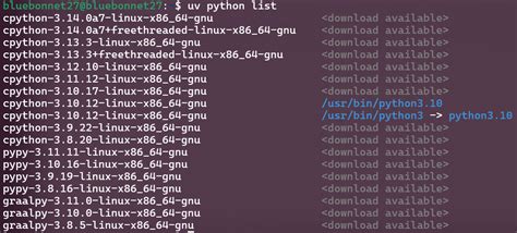 【python】uv管理器linux安装uv Csdn博客