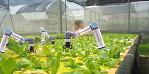 AgStack Foundation Il Progetto Della Linux Foundation Per Una