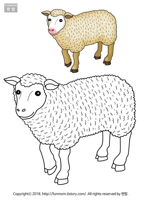 색칠놀이 도안 귀여운 양그림 색칠책 어린이 그림 그리기 색칠 활동