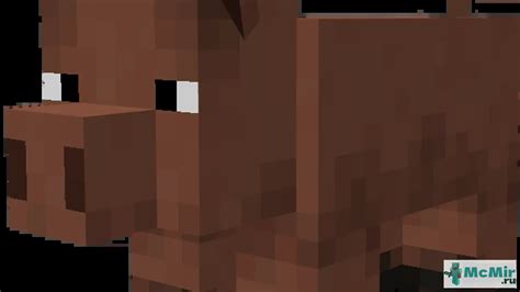 Текстура Новые свиньи Скачать текстуру для Майнкрафт