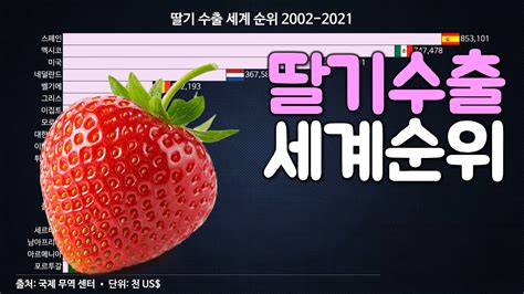 딸기 수출 세계 순위 2002 2021 Youtube