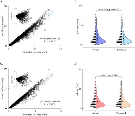 Relationship Between Actual And Estimated Leaf Area Using Data From Download Scientific Diagram