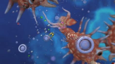50 Spore™ Collection On