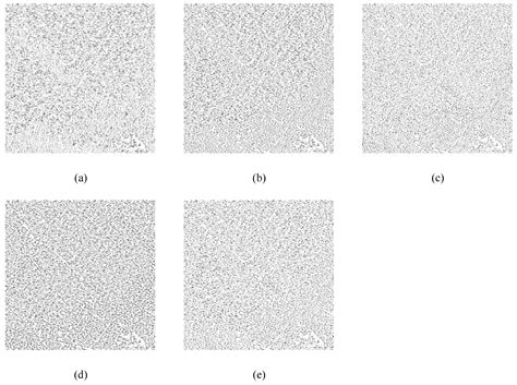 remote sensing free full text a sar image despeckling method based