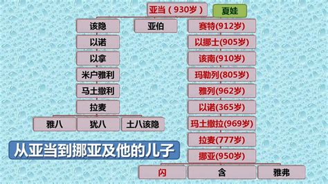 旧约圣经人物关系图谱 圣经人物关系图谱 伤感说说吧