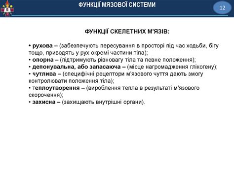 Загальні принципи надання домедичної допомоги Основи домедичної допомоги презентация онлайн