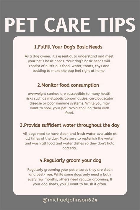 Ethan Collins Ethancollins5 Profile Pinterest