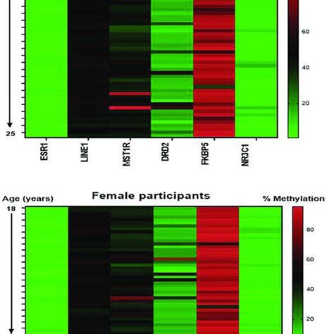 A Heat Map Of Dna Methylation The Percentage Of Dna Methylation Levels