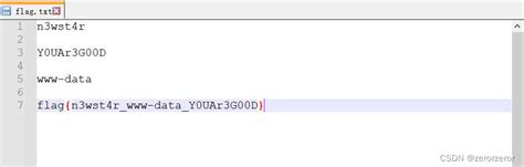 2022 七校联合newstarctf 公开赛赛道 Week3misc Newstarctf 公开赛赛道 Webshell Csdn博客