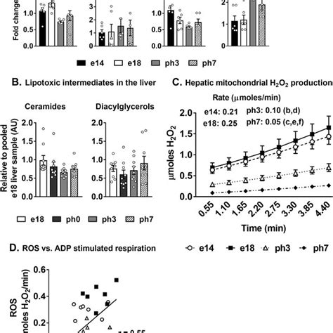 Induction Of Hepatic Mitochondrial Tca Cycle Metabolism Accompany High Download Scientific