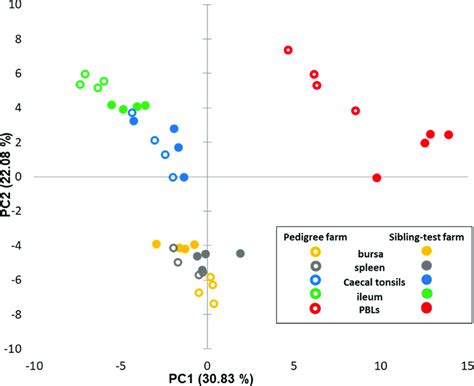 Principal Component Analysis For 9696 Dynamic Array Including All
