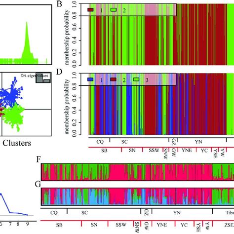 Cluster Analysis Implemented In The Nonparametric Model Method Of Dapc Download Scientific