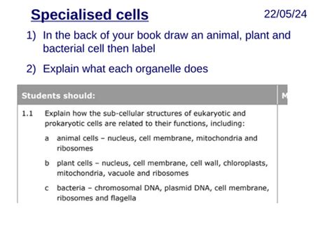 Specialised Cells Teaching Resources