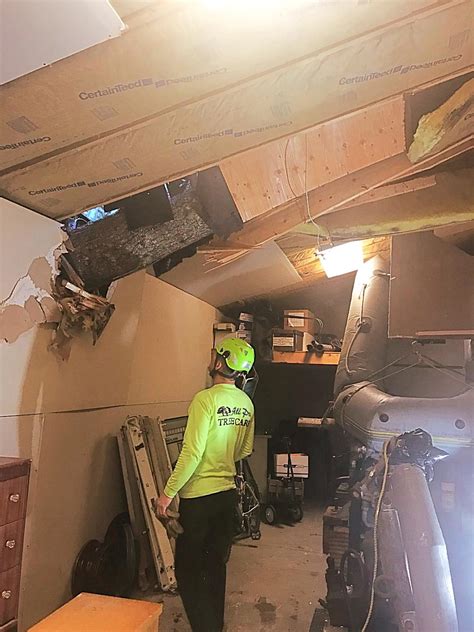 Emergency Tree Removal Service Kent Auburn Federal Way Des Moines Wa Award Winning Top Rated