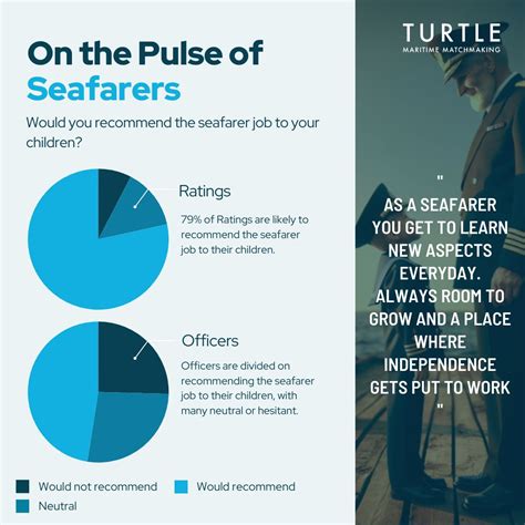 turtle on linkedin turtle turtle maritime innovation