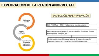 Anatomia Y Fisiologia Recto Anopptx